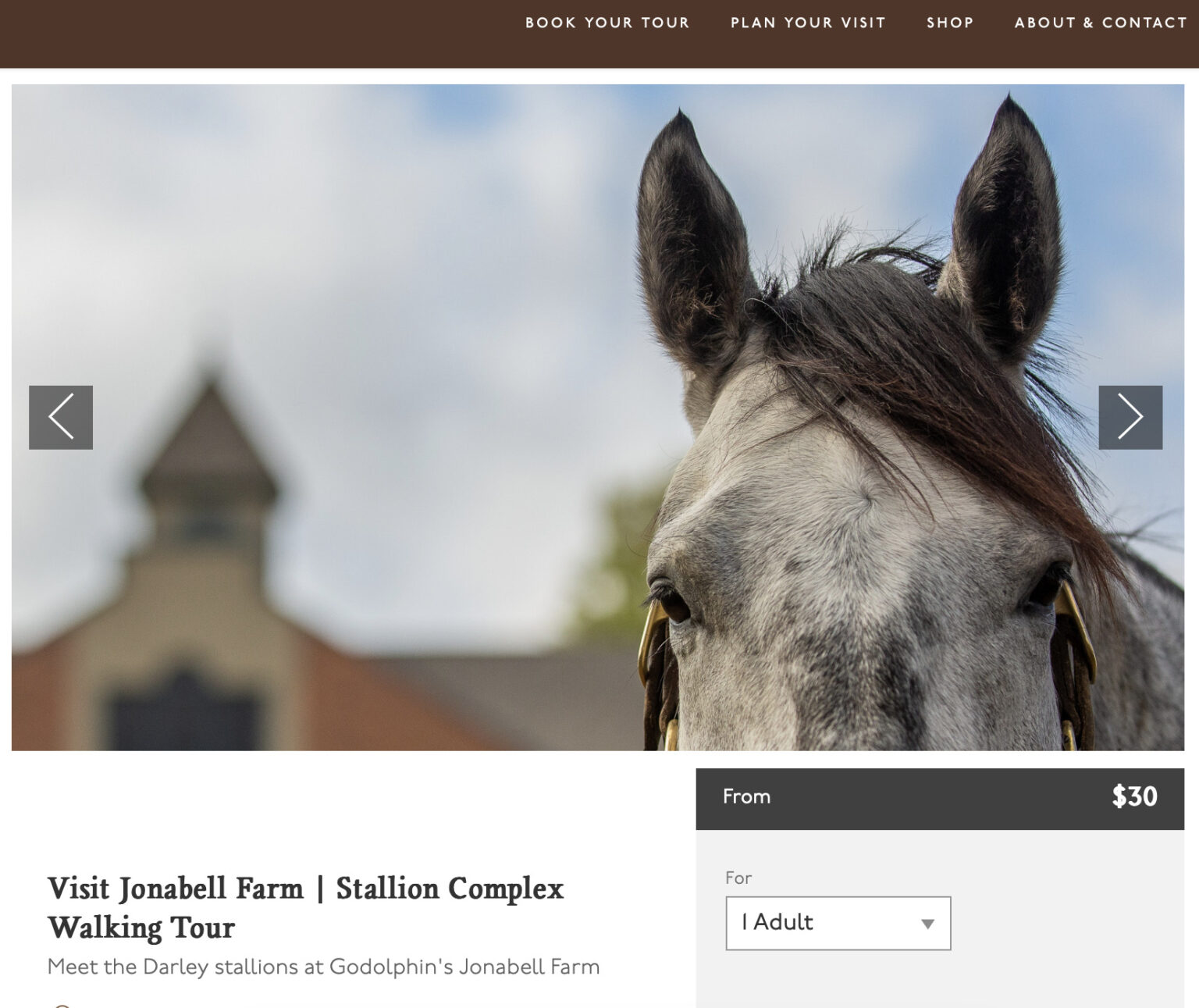 Jonabell Farmの牧場見学。Medaglia D’oroにストリートセンス。 | 旧村尾商店ブログ